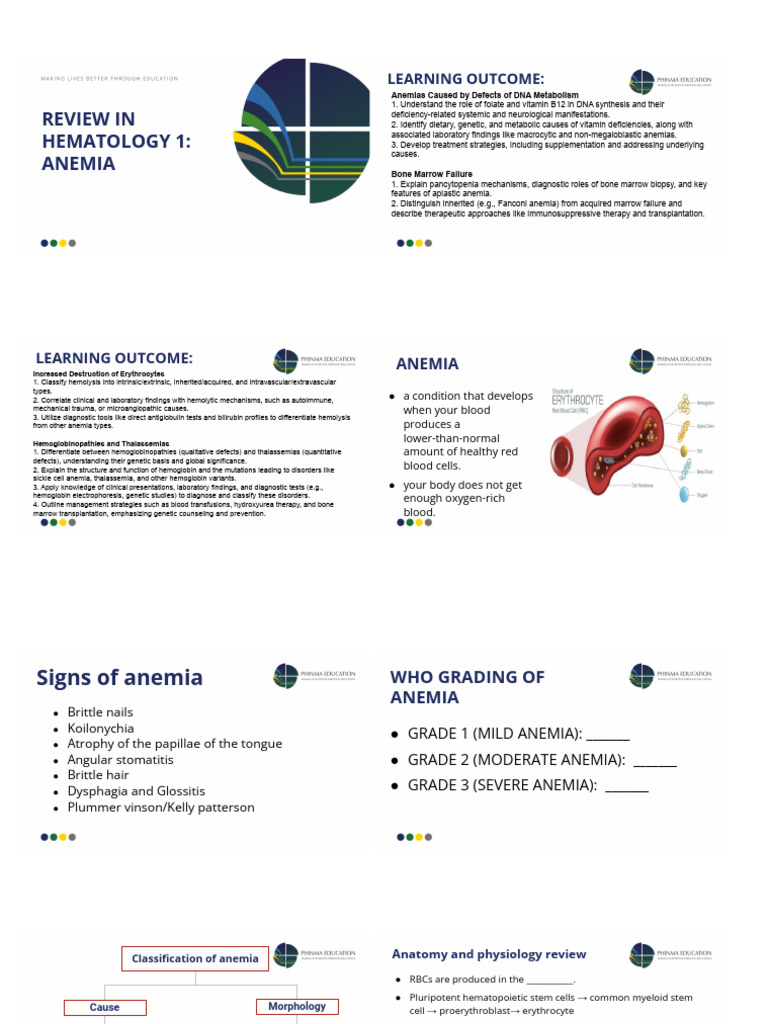 Understanding Anemia: Causes and Treatments | PDF | Anemia | Red Blood Cell