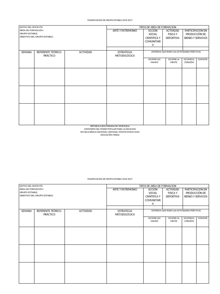 Formato de Grupo Estable | PDF