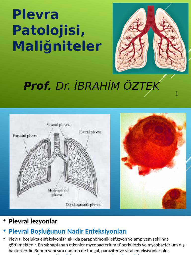 (27B). Plevra Patolojisi 45SL XXX | PDF