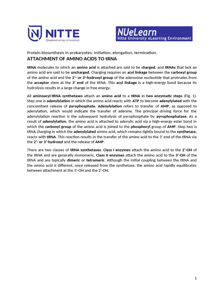Prokaryotic Protein Synthesis Overview | PDF | Translation (Biology ...