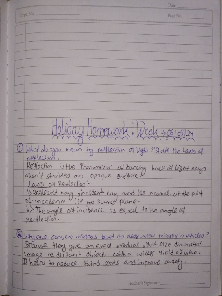Dinabandhu Pani X'A' 08 Holiday Homework Science Week01 | PDF