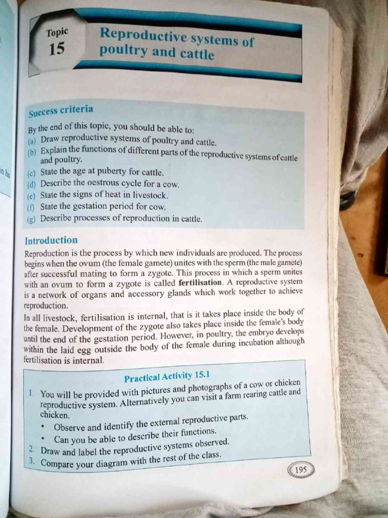 Topic 15- Reproductive System of Cattle and Poultry | PDF