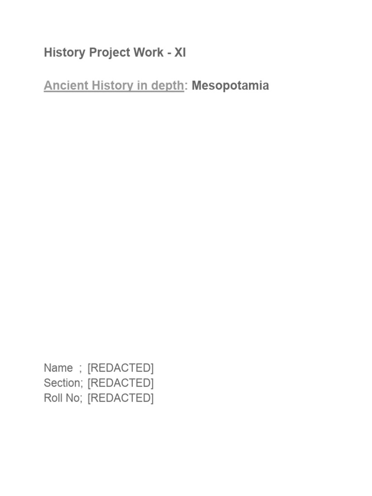 History Project Class 11 | PDF | Mesopotamia | Sumer