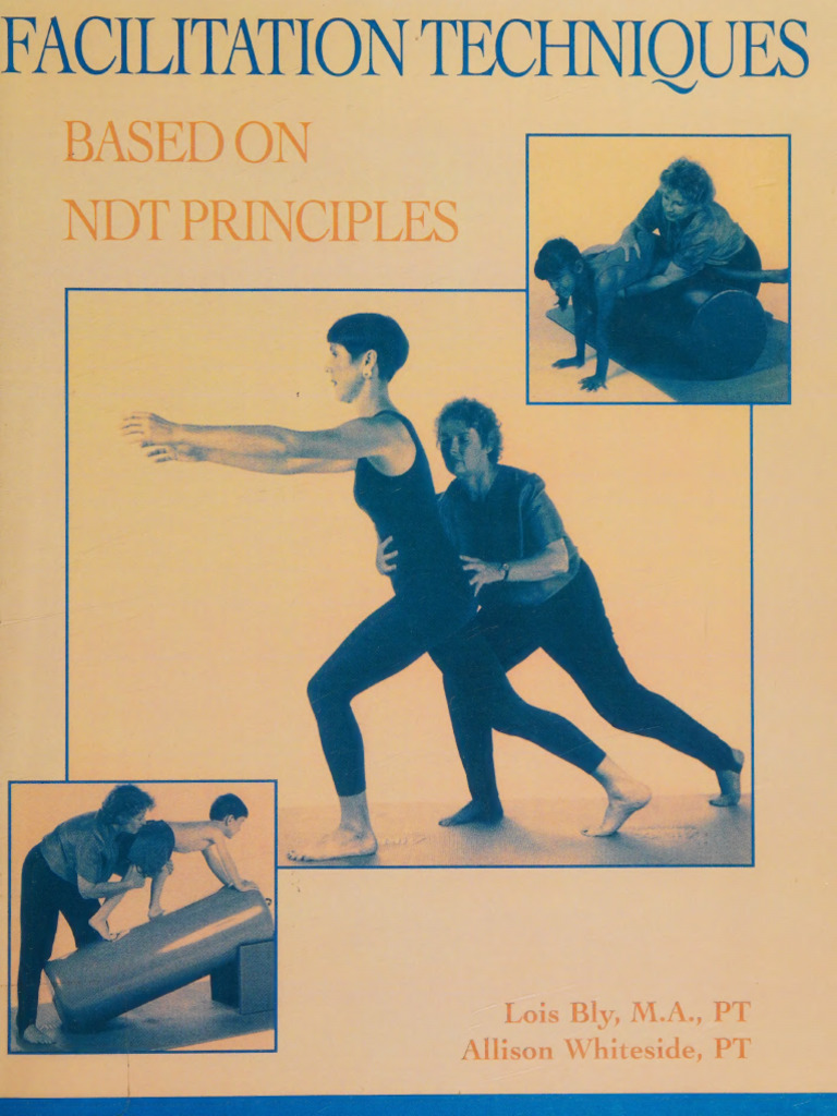 Facilitation Techniques Based On NDT Principles - Bly, Lois - San Antonio, Texas, 1997 - N - A ...