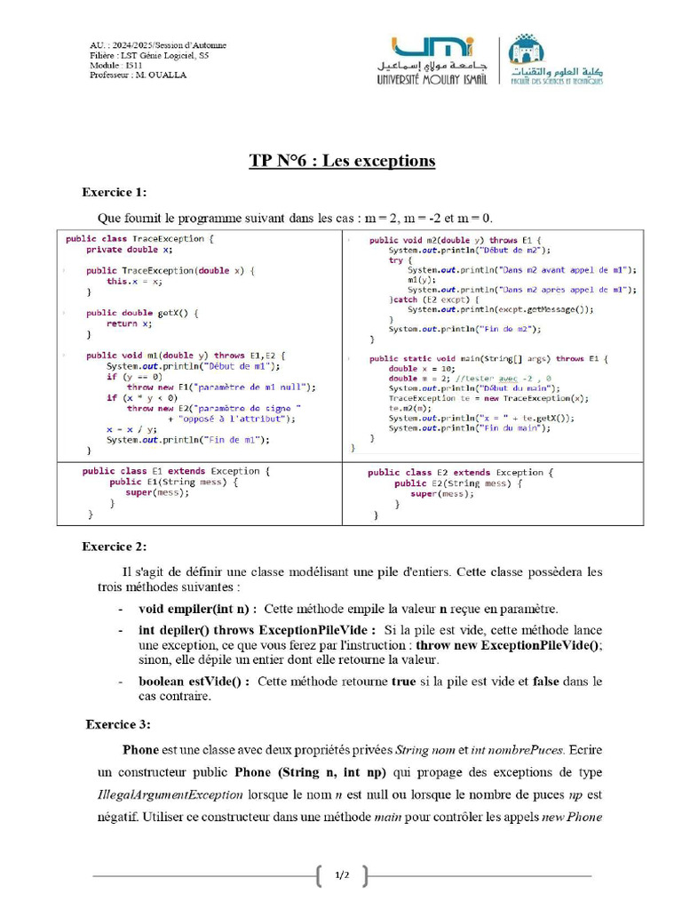 TP NÂ°6 - Les Exceptions | PDF