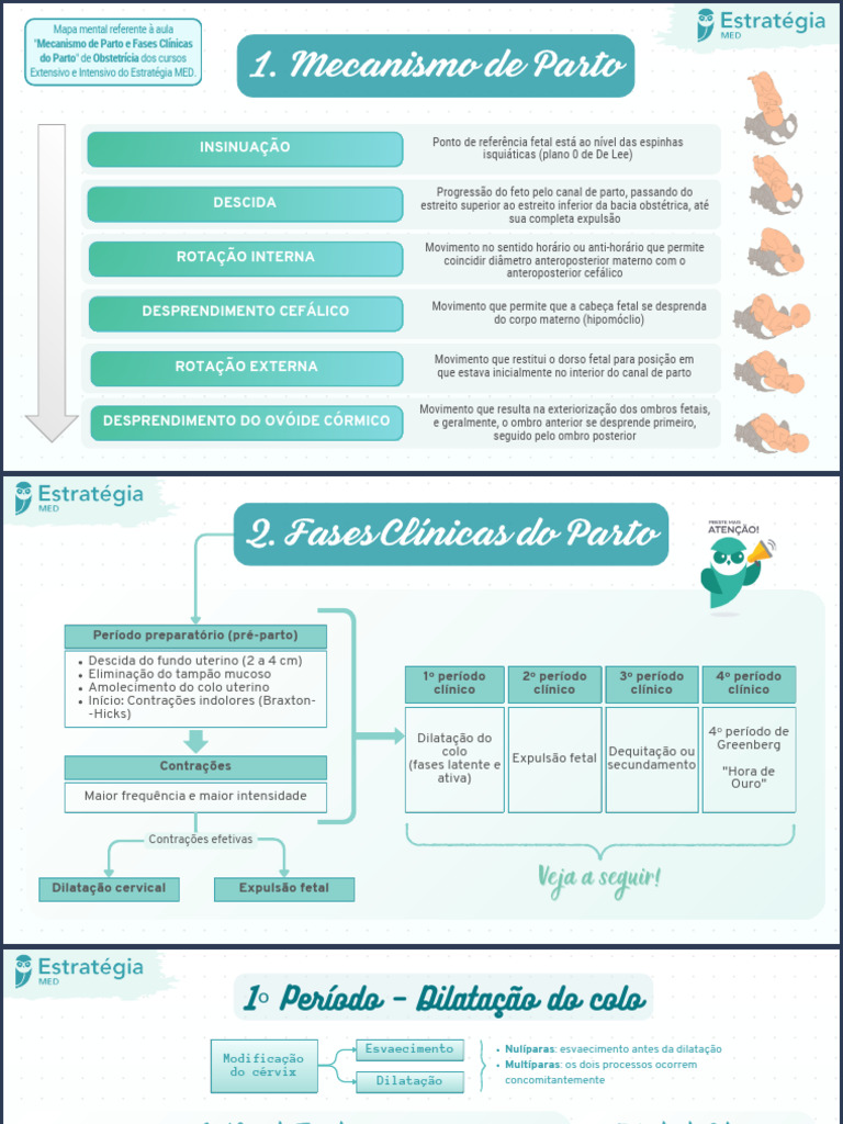 1. Mapa Mental | PDF | Parto | Especialidades médicas