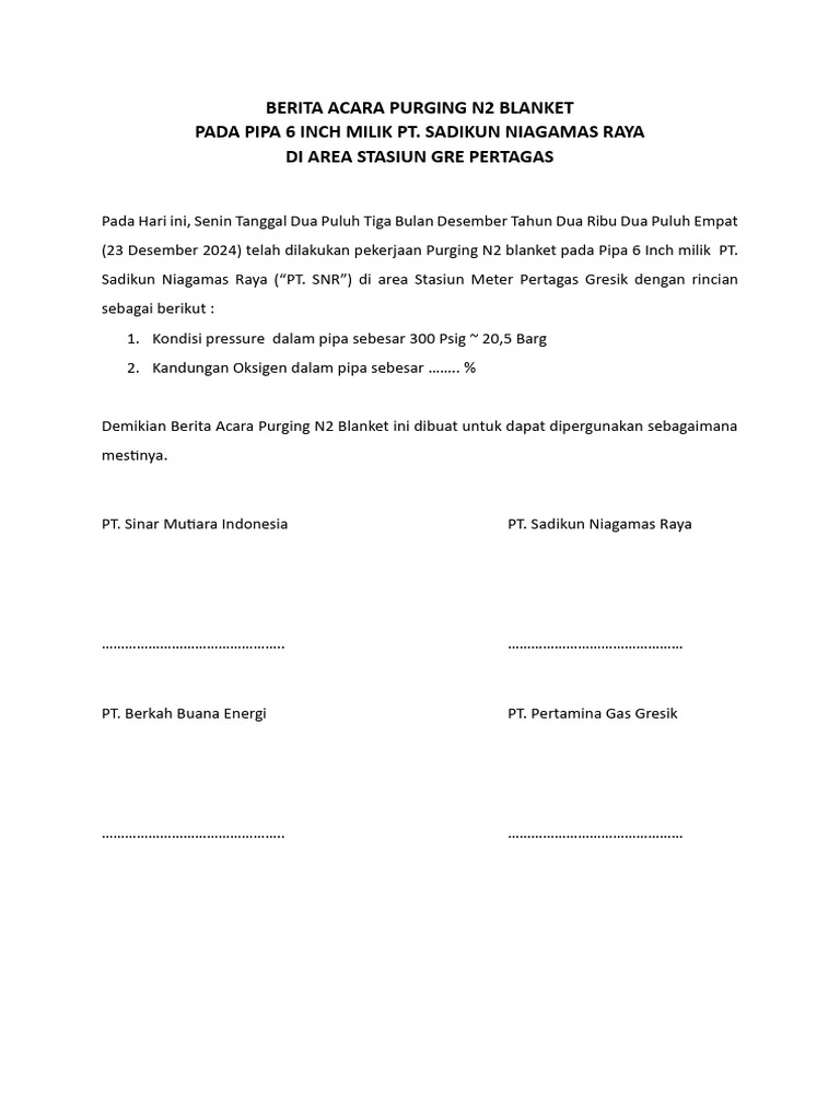 BA Purging N2 Blanket | PDF