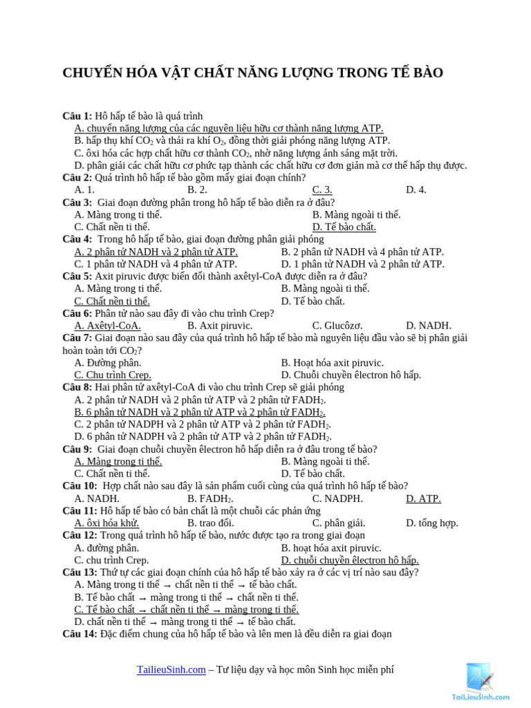 TN10 B1 B21 - Chuyen Hoa Vat Chat Nang Luong Trong Te Bao | PDF