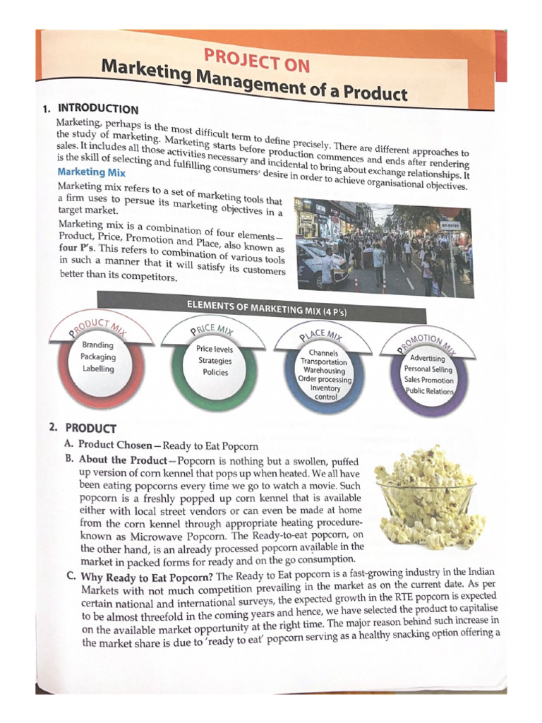 Sample Project - Marketing Management | PDF