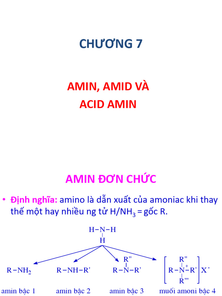 7.Amin,Amid,Acid Amin | PDF