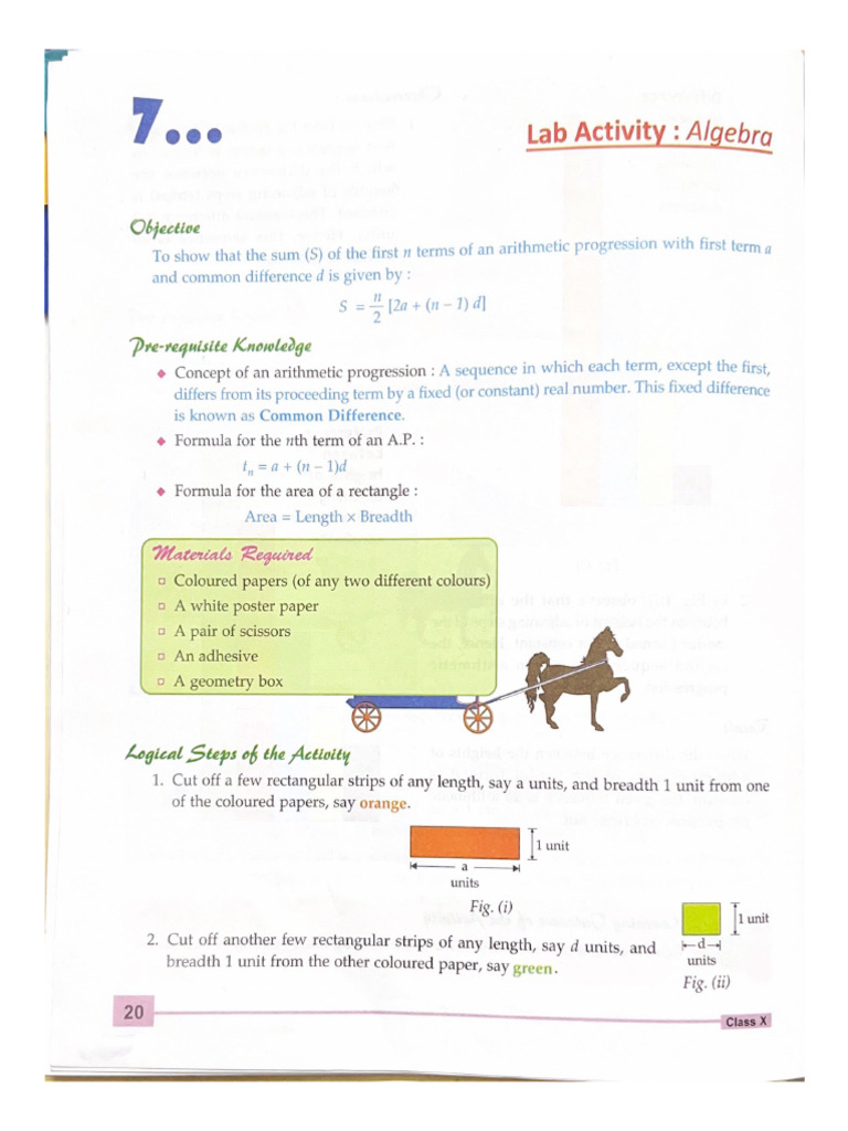 Lab Activity 2 AP | PDF