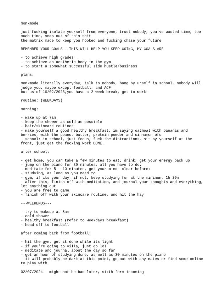 Monk Mode Daily Schedule & Goals | PDF
