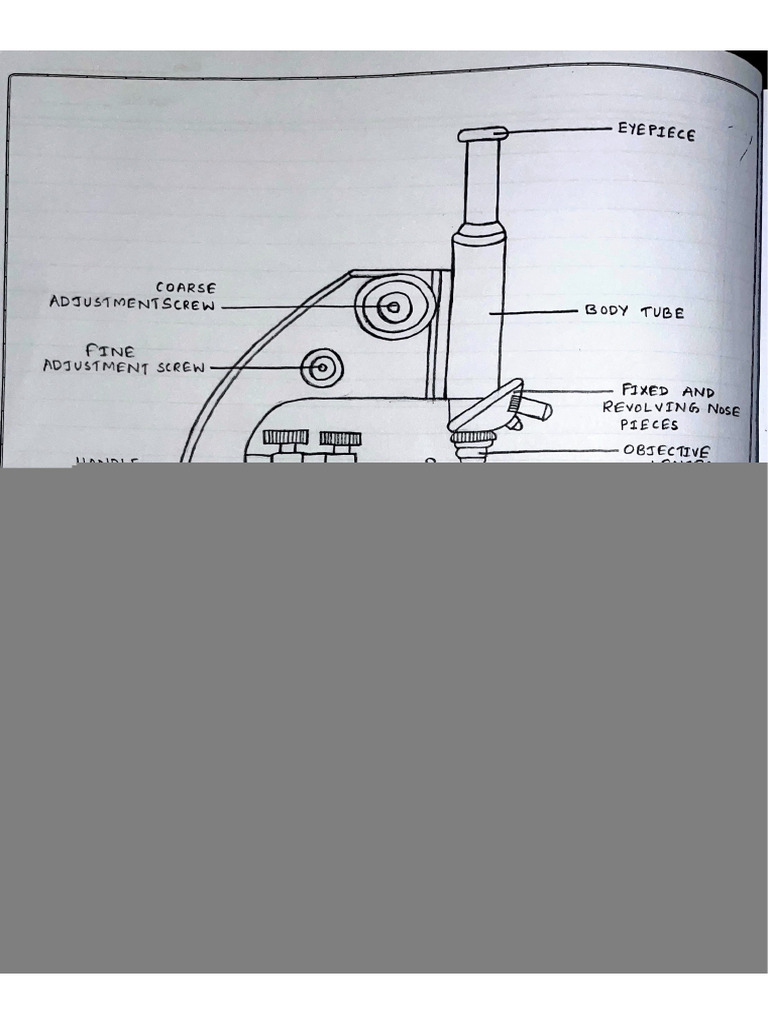 Physio Practical PDF | PDF