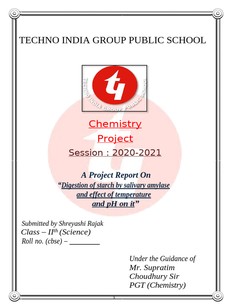 Chemistry Project (Shreyashi) | PDF | Digestion | Chemistry