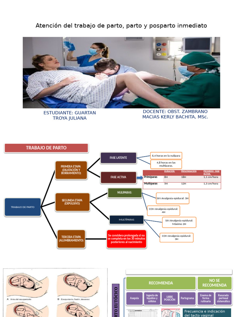 ATENCIÓN DEL PARTO Y POST PARTO INMEDIATO | PDF | Parto | Ciencias de ...