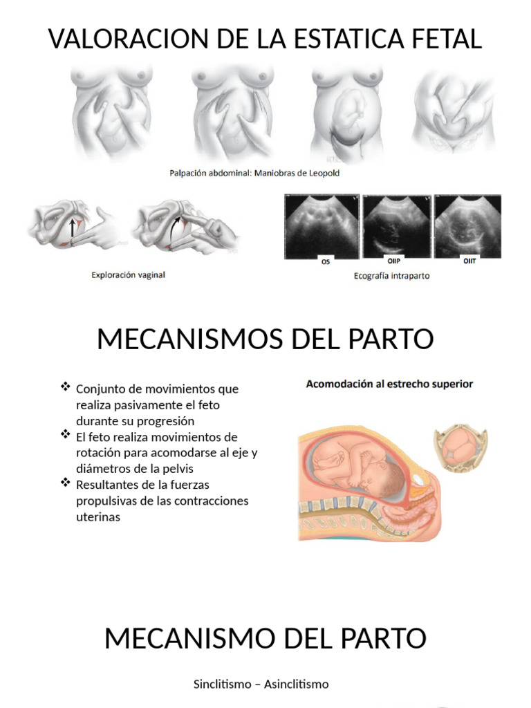 VALORACION DE LA ESTATICA FETAL | PDF | Parto | Placenta