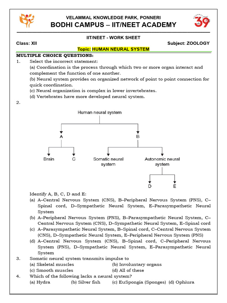 8. Neural Control Coordination - - Zoology - NEET Work Sheet | PDF | Chemical Synapse | Synapse