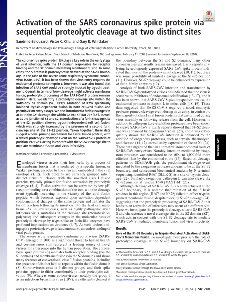 Belouzard Et Al 2009 Activation of The Sars Coronavirus Spike Protein ...