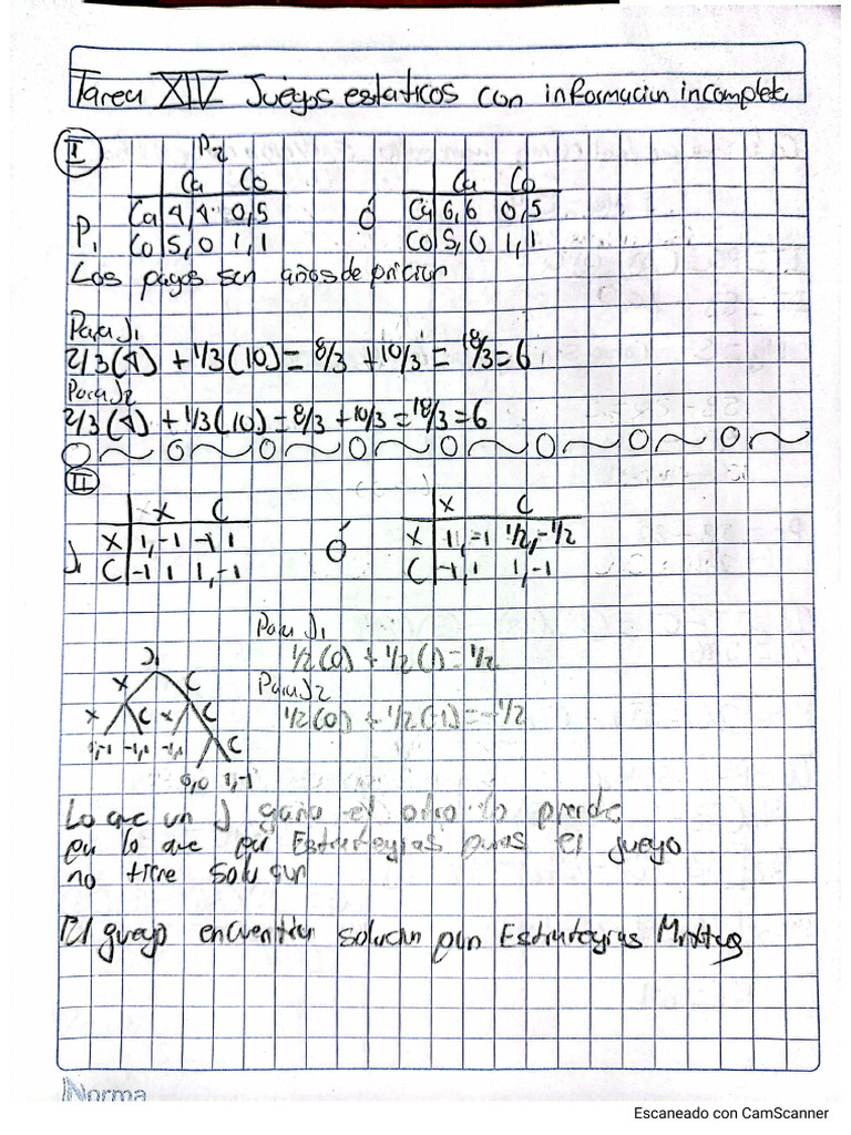 Juegos Estáticos Con Información Incompleta | PDF