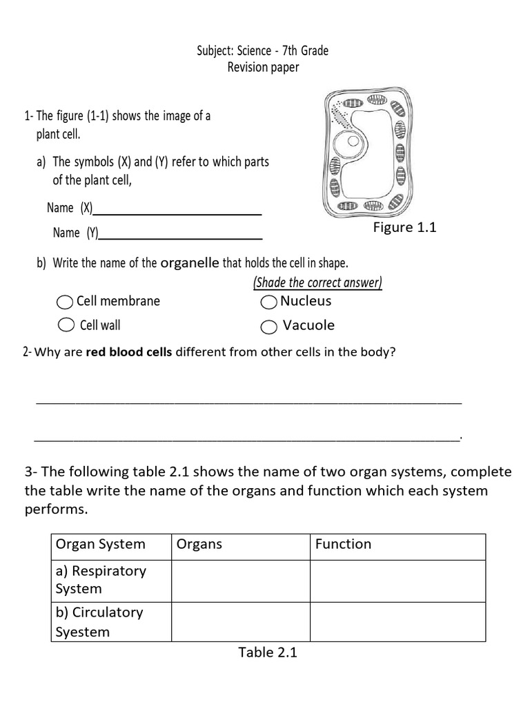 Revision Grade 7 Final First Term Final Exam | PDF | Chemical ...