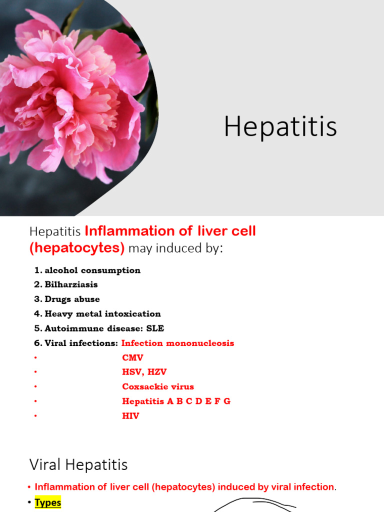 Hepatitis | PDF | Hepatitis | Hepatitis B