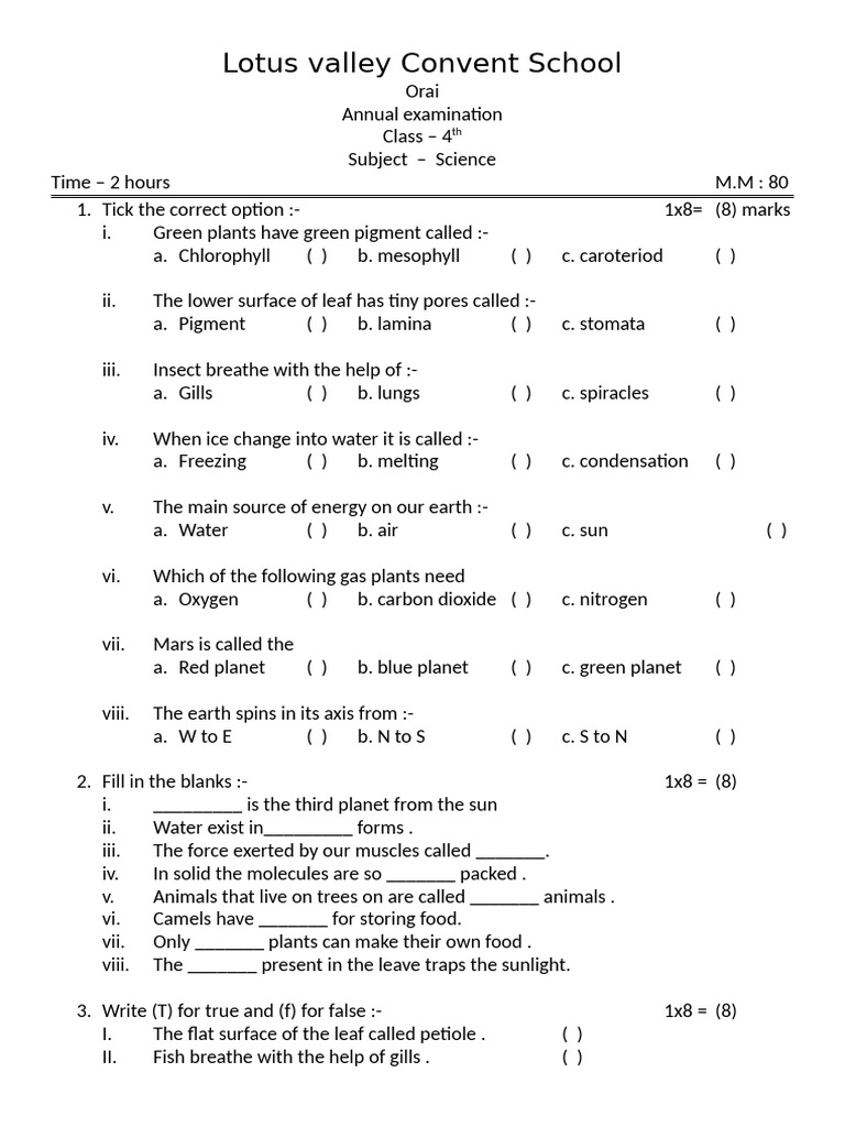Class 4 Science Annual Exam Paper | PDF | Leaf | Earth