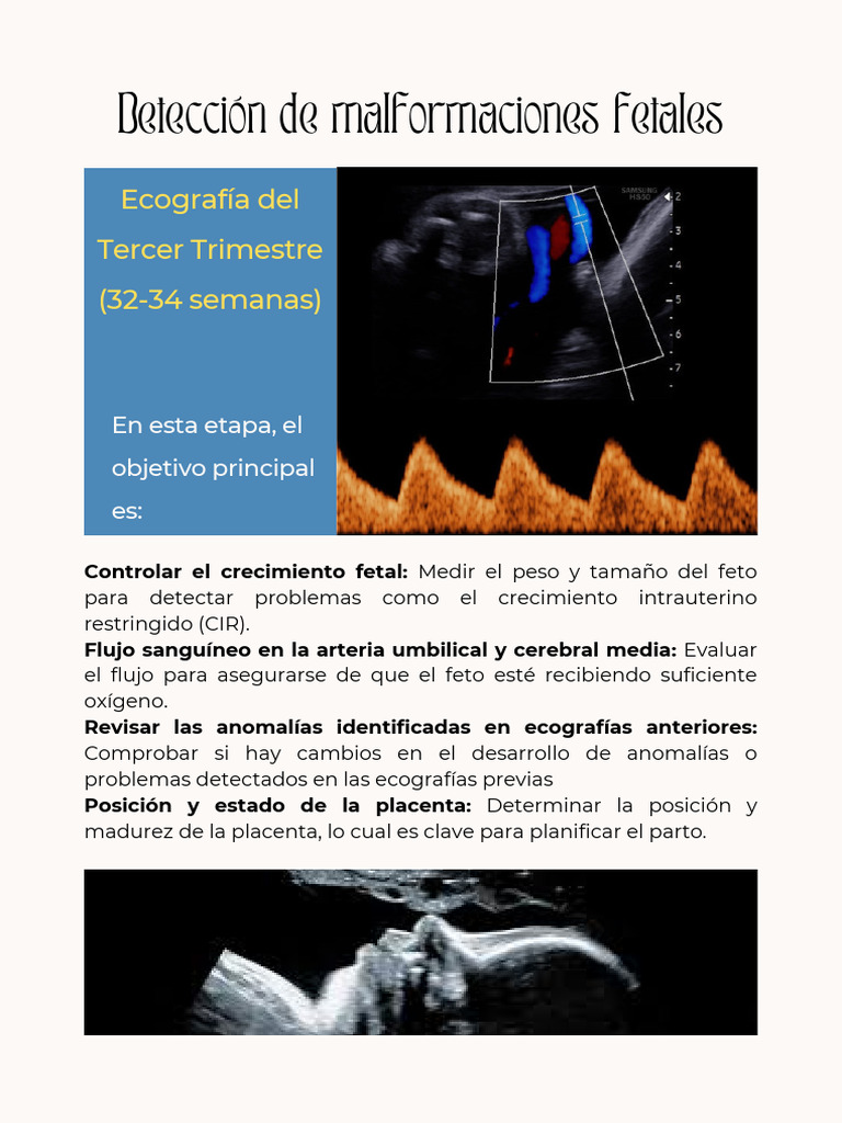Setas (1) - 3 | PDF