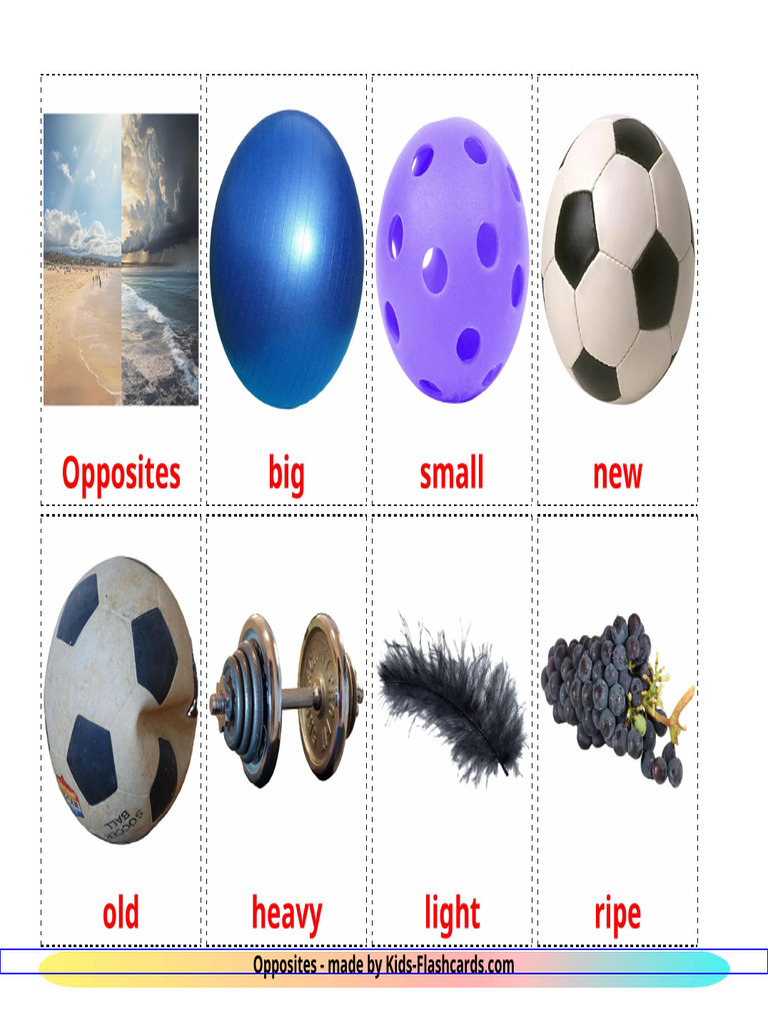 Opposites 8 A4 | PDF