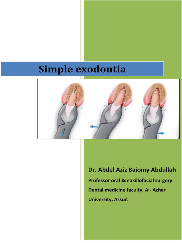Simple Extraction Final | PDF