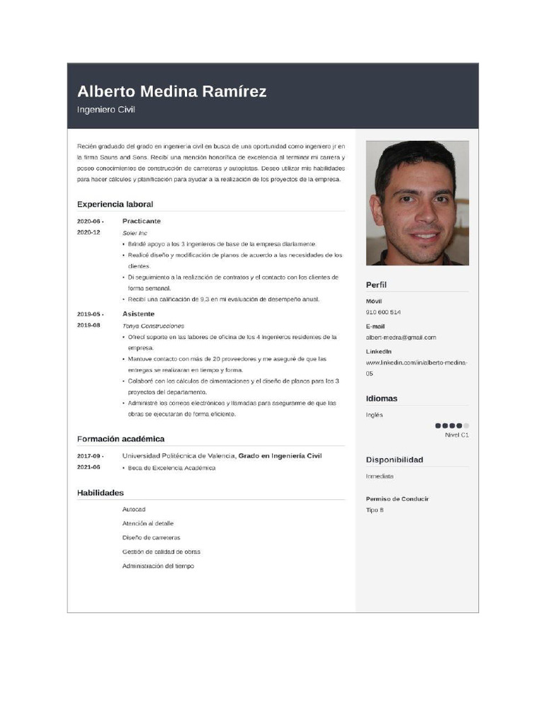 CV Ejemplos | PDF