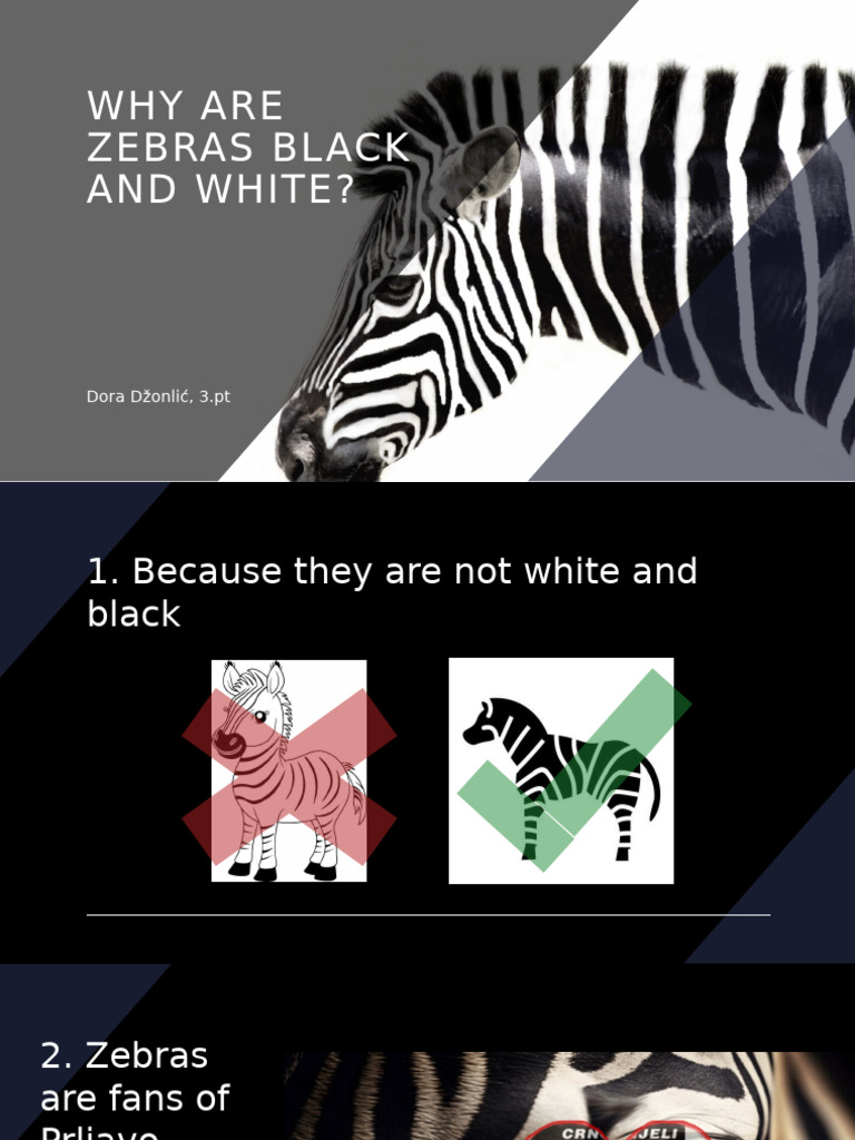 Zebra Dora DZ | PDF