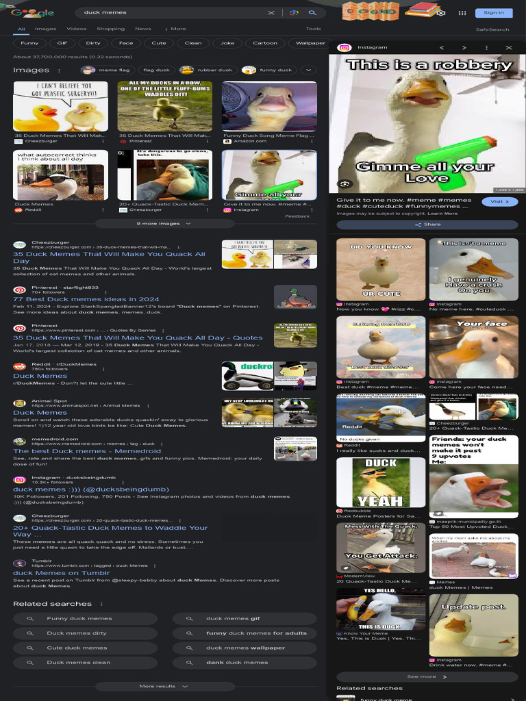 Duck Memes - Google Search | PDF | Computer Network | Game Birds
