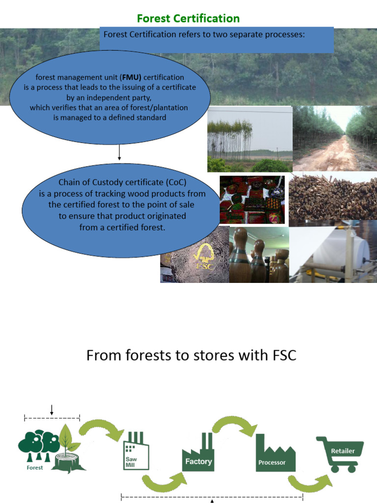 6 FSC Principles Leacy Act VU | PDF | Forest Stewardship Council | Logging