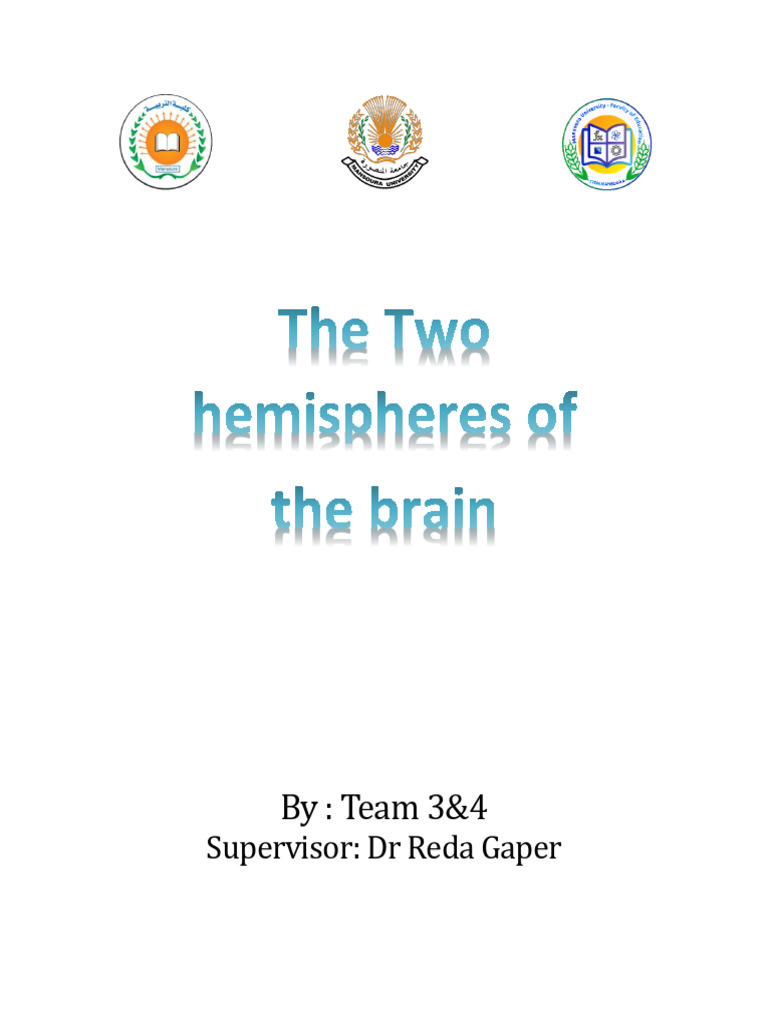 The Two hemispheres of | PDF | Lateralization Of Brain Function | Speech