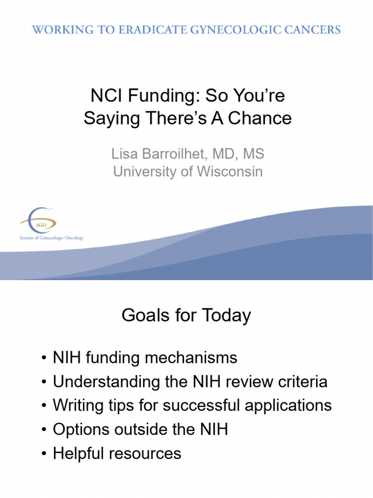 NCI Funding SGO - Barroilhet | PDF | National Institutes Of Health ...