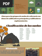 CS. Solonchaks | PDF | Carbonato | Suelo