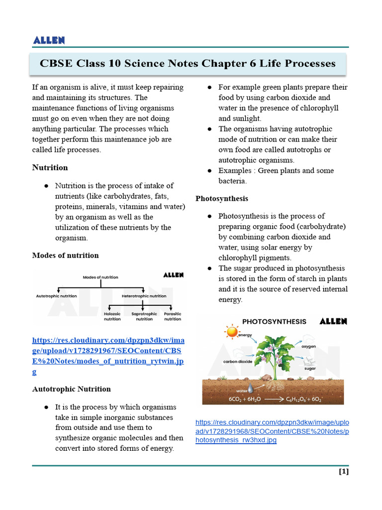 CBSE Class 10 Science Notes Chapter 6 Life Processes | PDF | Nutrition ...