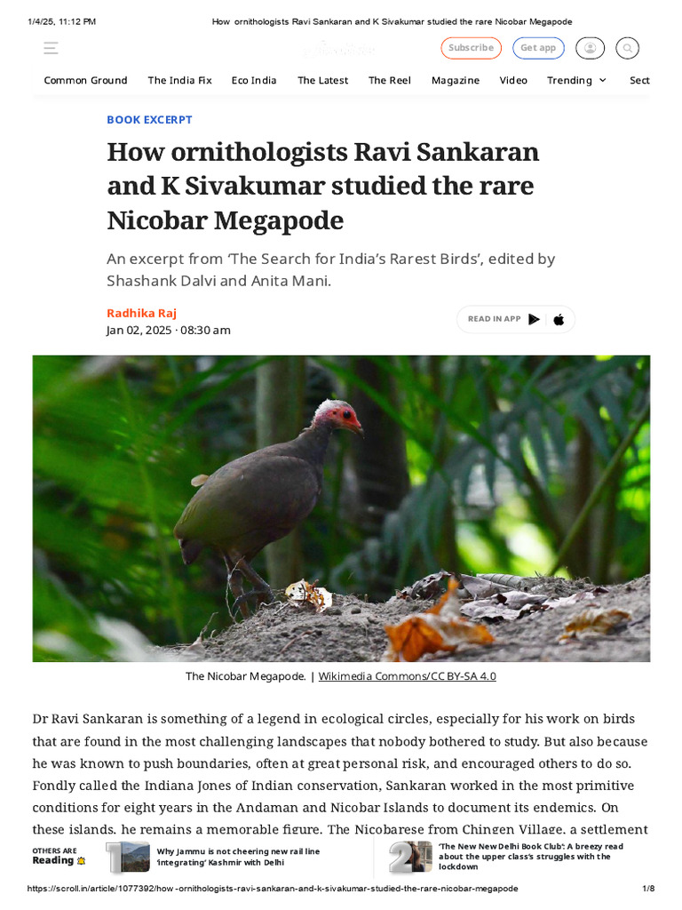 How Ornithologists Ravi Sankaran and K Sivakumar Studied The Rare Nicobar Megapode | PDF | Birds ...