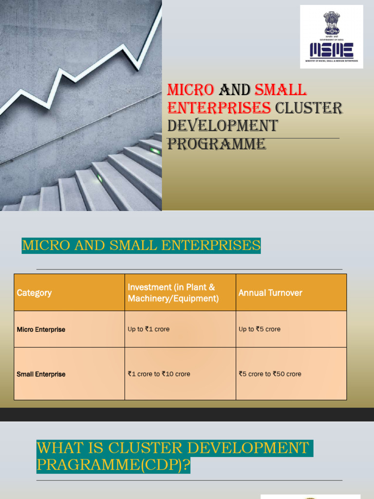 MSE CDP PROGRAM NEW 2 | PDF | Entrepreneurship | Capacity Building