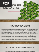 Notes of CH 2 Microorganisms - Friend and Foe - Class 8th Science | PDF ...