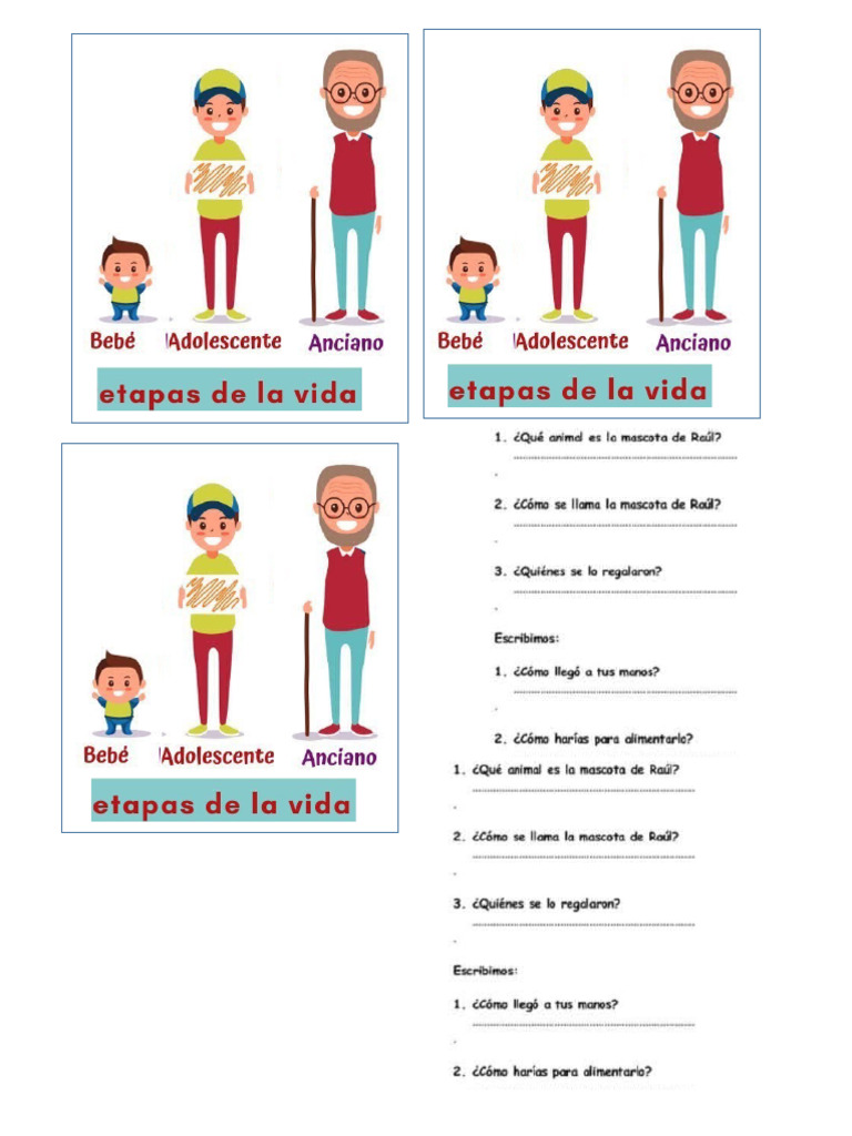 Etapas de La Vida | PDF