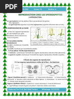 Le Carpelle : Organe des Angiospermes | PDF | Fruit | Embryon