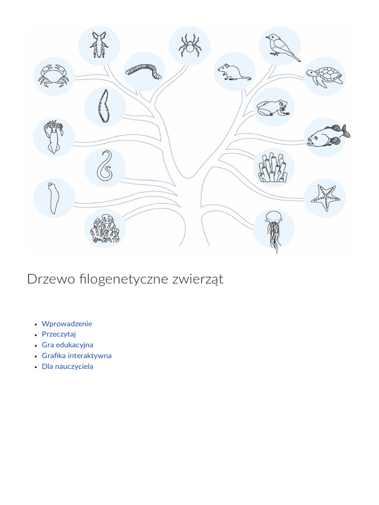 Drzewo Filogenetyczne Zwierzat | PDF