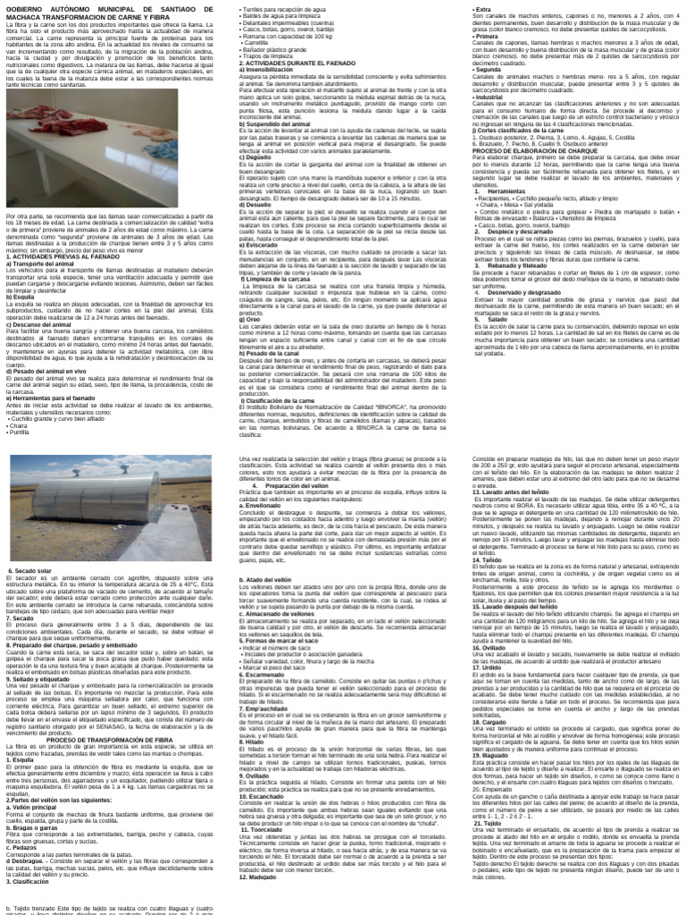 Triptico Trans Formacion de Carne | PDF | Carne | Spinning (Textiles)