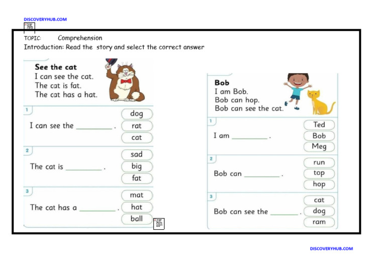 Introduction To Comprehension. Org | PDF