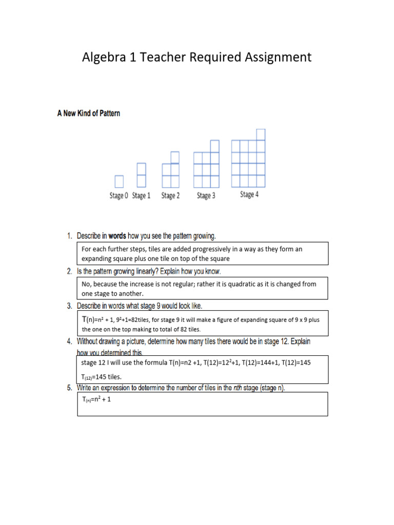 Algebra 1 Teacher Required Assignment | PDF