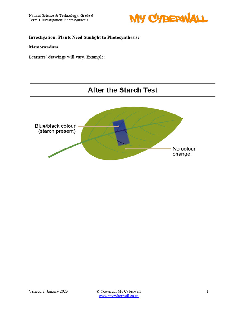 Gr6 NS Term1 Investigation Drawing Memo | PDF