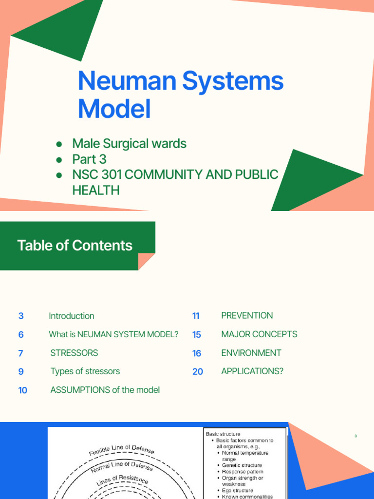 Neuman Systems Model | PDF | Stress (Biology) | Preventive Healthcare
