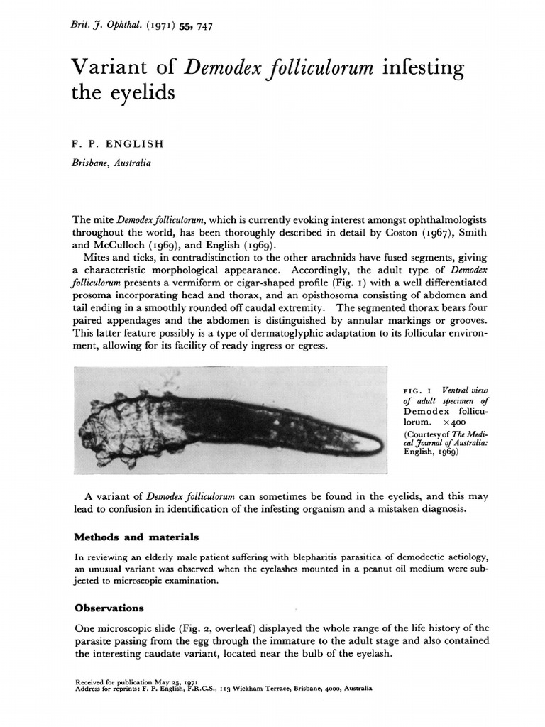 Variant of Demodex Folliculorum Infesting The Eyelids - PTBR | PDF