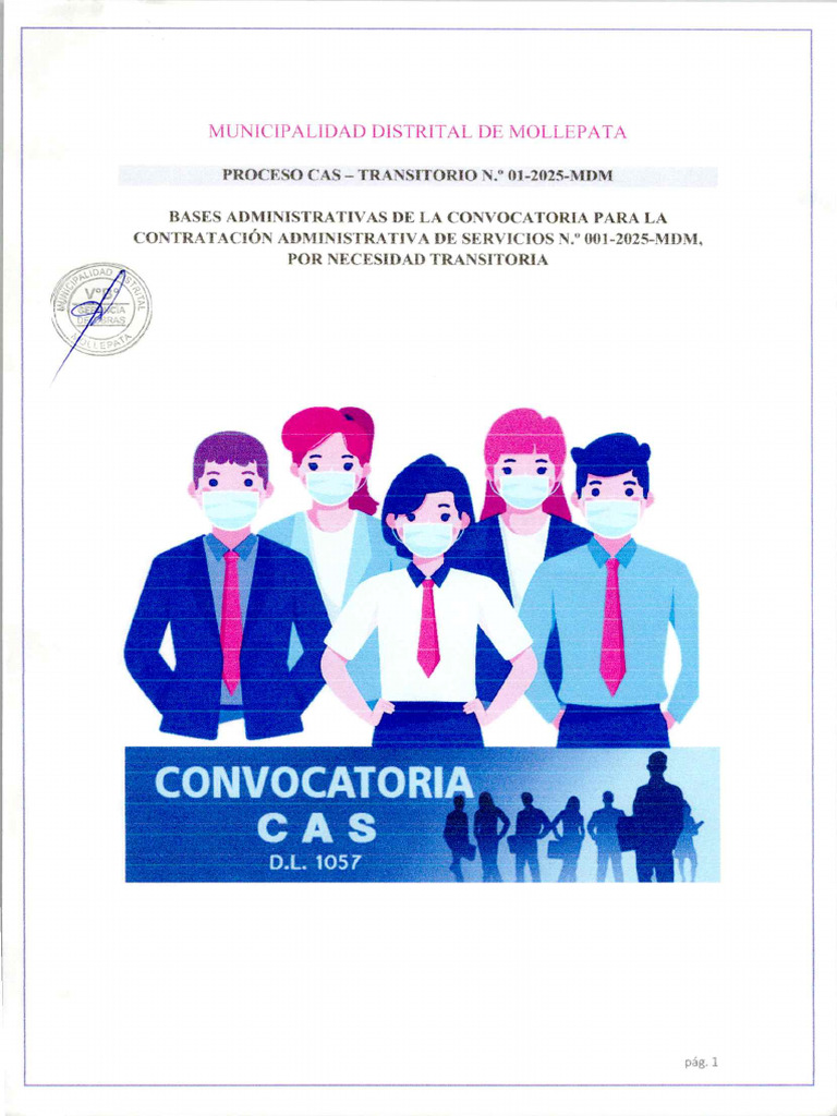 Bases Administrativas Cas Transitorio 01 2024 | PDF